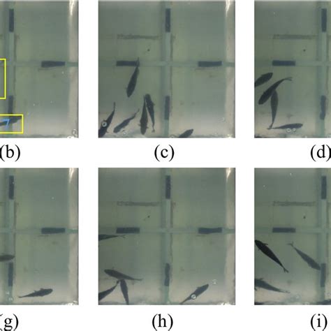 convex hull of the concave region and candidate segmentation points