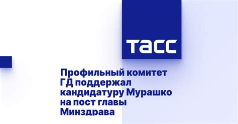 Профильный комитет ГД поддержал кандидатуру Мурашко на пост главы Минздрава