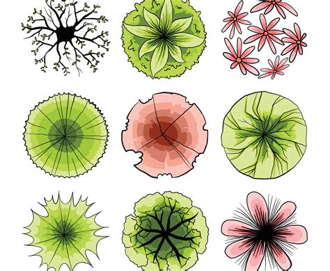 Architechture Mix Colors Tree Plan Collection Vector Art And Graphics