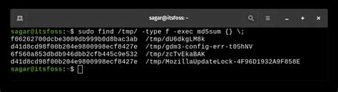 Find Exec Command In Linux 9 Useful Examples