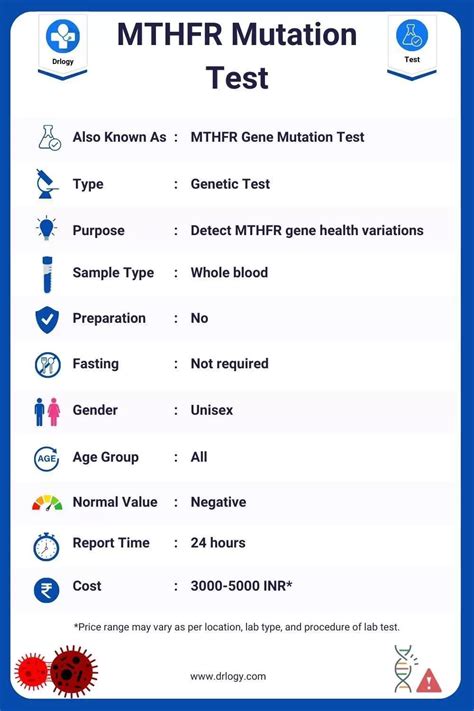 Mthfr Mutation Test Price Purpose Normal Range And Results Drlogy