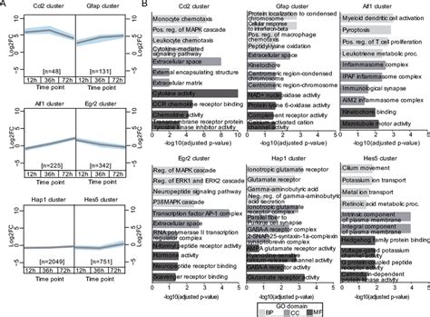 Highly Dynamic Gene Expression Clusters Associate With A Time Dependent