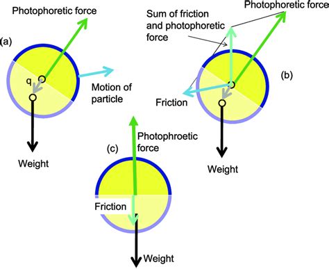 Orientation Of A Particle By Gravity A The Center Of Mass Of The