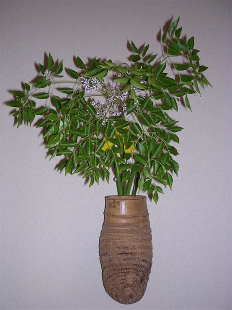 席持ちお礼茶事 直心軒お茶三昧