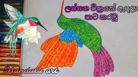 ලස්සන චිත්‍රයක් අඳිමු මෝස්තර Mandala Arts වෙනස්ම විධියකට කුරුල්ලෙක් Youtube