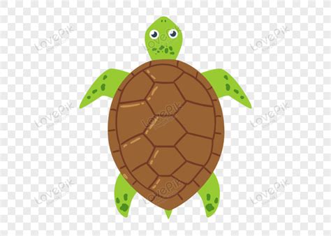 플랫 스타일의 만화 거북이 Png 일러스트 무료 다운로드 Lovepik