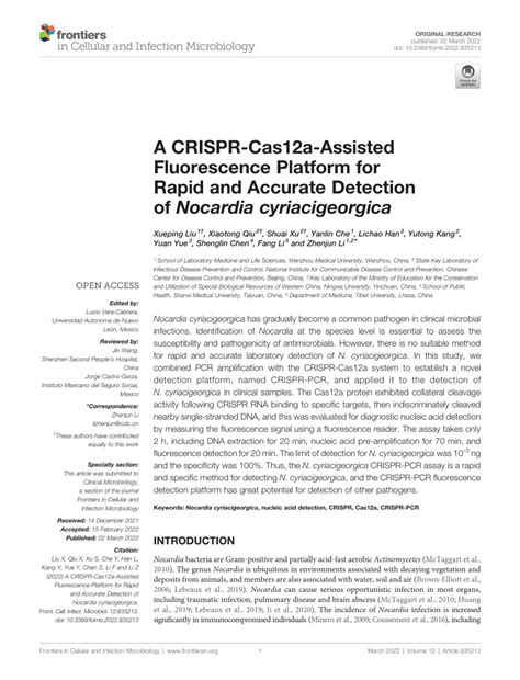 Pdf A Crispr Cas12a Assisted Fluorescence Platform For Rapid And Accurate Detection Of