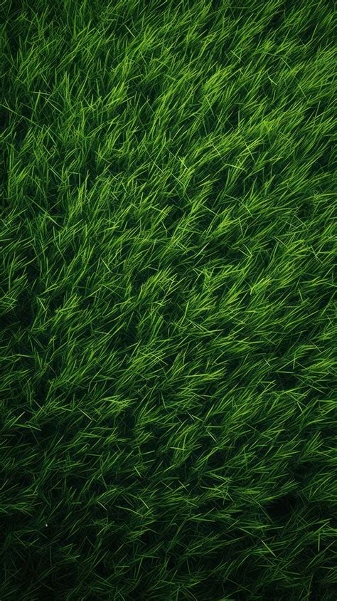 Greengrass Field Nature Outdoors Plant Premium Photo Rawpixel
