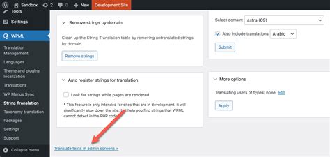Finding Strings That Dont Appear On The String Translation Page Wpml