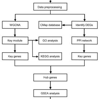 Study Workflow WGCNA Weighted Gene Co Expression Network Analysis Download Scientific