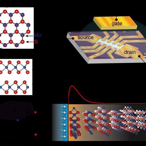Pdf Superconductivity Protected By Spinvalley Locking In Ion Gated Mos2