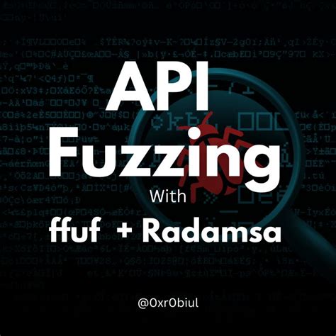 Advanced Api Fuzzing With External Mutators Using Radamsa To Fuzz