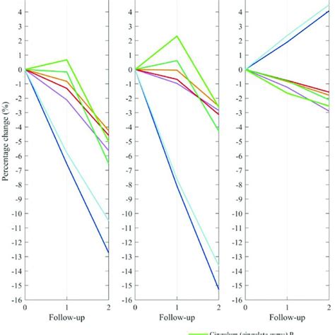 Significant Findings From Voxel Based Analysis Significant Voxels