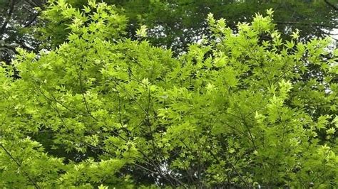 Spring Bootのweb画面上でデータ検索機能を追加してみた完成イメージと前提条件｜itエンジニアとして経験・学習したこと