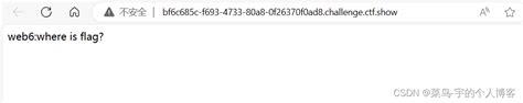 Ctf Show Web入门信息搜集专题ctf怎么从源码看出有js验证 Csdn博客