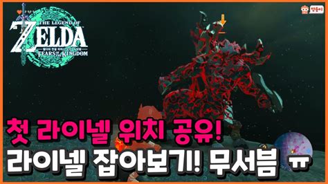 젤다의 전설 티어스 오브 더 킹덤 하이랄 평원의 깊은굴 라이넬 잡아보기 라이넬 위치 공유 하얗게 불태움 ㅠㅠ Youtube