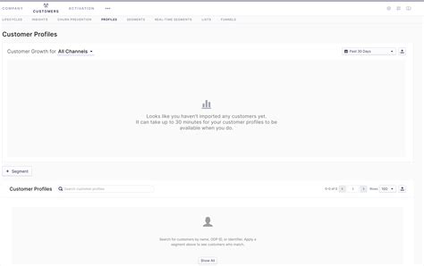 optimizely data platform odp javascript tag added correctly but