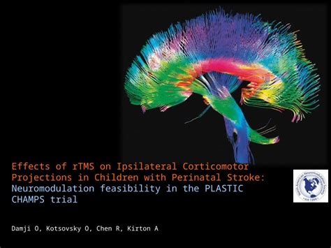 Pptx Effects Of Rtms On Ipsilateral Corticomotor Projections In