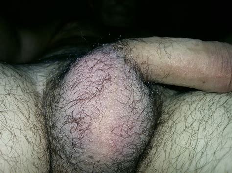 Palle Pelose Porn Pictures Xxx Photos Sex Images 2089072 Pictoa