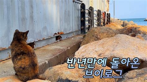 오랜만에 브이로그로 돌아왔습니다 Youtube