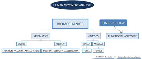 Human Movement Analysis Download Scientific Diagram