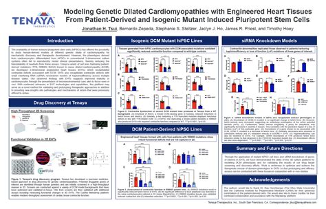 Modeling Genetic Dilated Cardiomyopathies With Engineered Heart Tissues From Patient Derived And