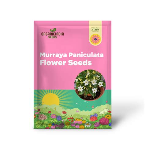 Murraya Paniculata Orange Jasmine Flower Seeds For Planting Cream