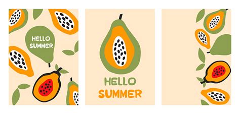플랫 스타일의 세련된 여름 포스터 파파야 세트 밝은 과일 구성 전단지 포스터 배너 플래카드 브로셔 디자인 세트 안녕하세요 여름 과일 조각이 있는 배경입니다 벡터 가리기에