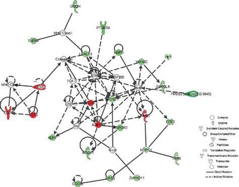 Figure 4 From High Throughput Gene Expression Analysis Of Intestinal Intraepithelial Lymphocytes