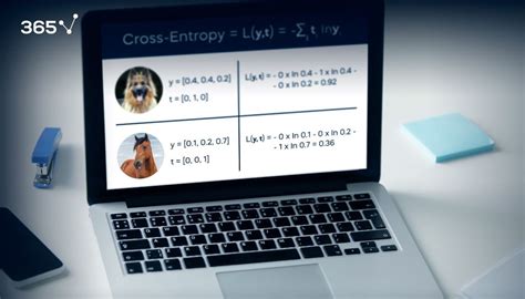 What Is Cross Entropy Loss 365 Data Science