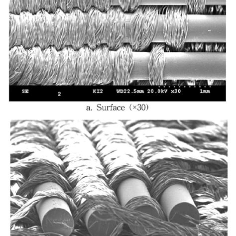 Optical Fiber Structure Download Scientific Diagram Optical Fiber Structure Download Scientific Diagram