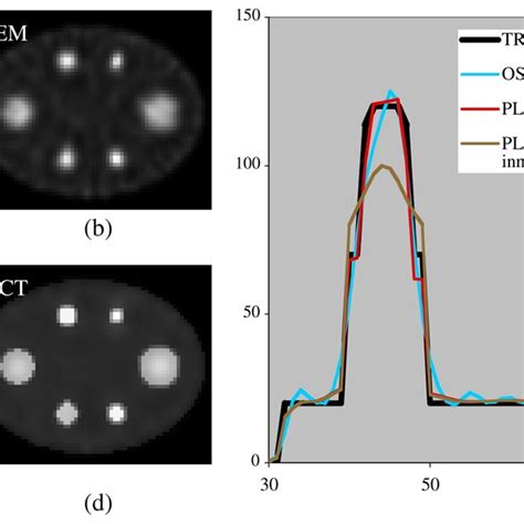 Images And Profiles For A Single Noisy Realization Of Simulation With