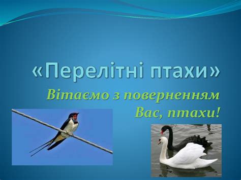 Перелітні птахи презентация онлайн