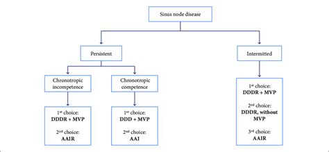 Flow Chart With Recommendations Of The Latest European Directives On