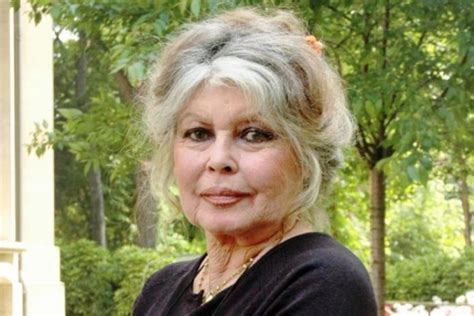 Brave Brigitte Bardot’s Fight for Animal Welfare – AHR