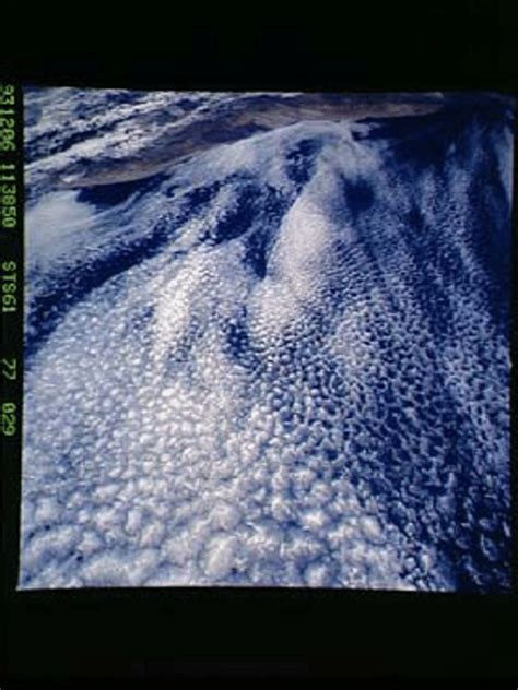 3 Mesoscale Convection Visualized By Cloud Patterns With Open And Download Scientific Diagram