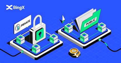 Understanding The Difference Between Public And Private Blockchains Bingx Blog