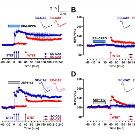 pdf group iii metabotropic glutamate receptors gate long term potentiation and synaptic