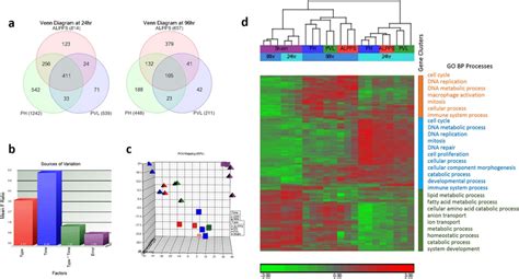 A Venn Diagrams Representing The Differentially Expressed Genes