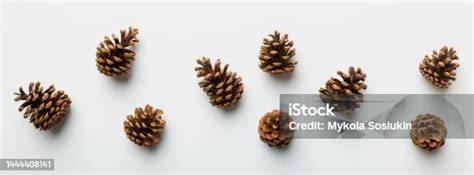 컬러 종이 테두리 구성에 크리스마스 소나무 콘 크리스마스 새해 겨울 개념 플랫 레이 상단 뷰 복사 공간 0명에 대한 스톡 사진 및 기타 이미지 Istock