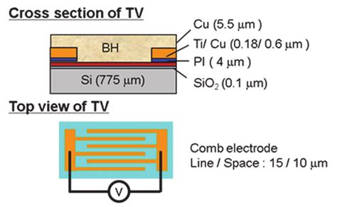 Cu Migration Test Structure Download Scientific Diagram
