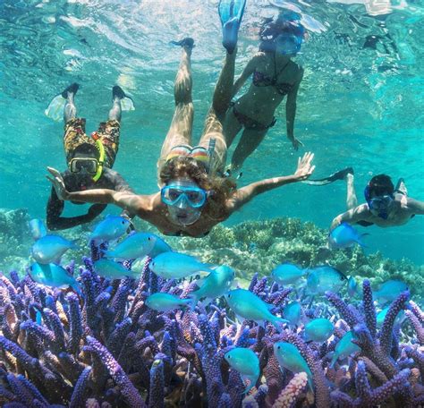 Aore Island Snorkelling Luganville Vanuatu Address Phone Number