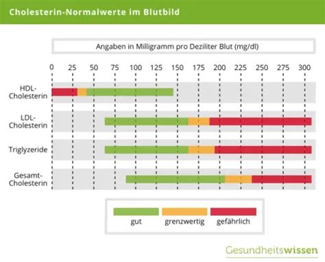 Bedeutung HDL Wert Normalwerte Im Blutbild Steigerung