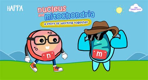 Nucleus And Mitochondria A Story Of Working Together