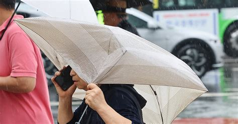 고장난 우산이라도