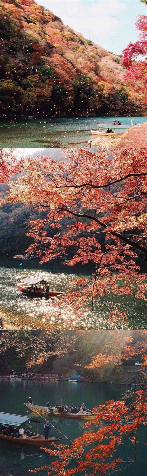 一年四季去日本都能遇到不同的美景呢太美了 每日頭條