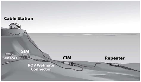 figure 1 from global deep ocean sensor network on submarine cables