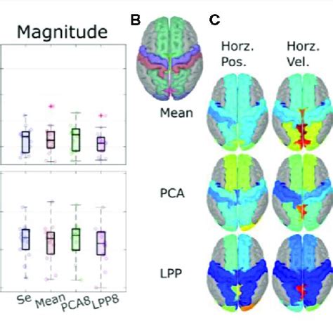 The Overall Results From The Source Space Decoding Adapted From Download Scientific Diagram