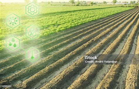 농장 농장 들판의 풍경과 혁신을 가진 육각형 농업의 과학 개선 수율 품질 환경에 미치는 영향을 줄입니다 유럽 유기농 개념에 대한 스톡 사진 및 기타 이미지 Istock