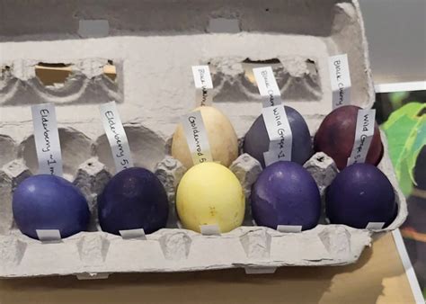 Natural Egg Dyeing Decorah Winneshiek County Conservation Board